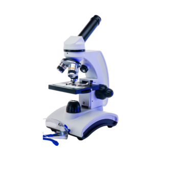 Target Pathology Laboratory – Fast, Accurate and Reliable Pathology